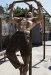 Jason Statham Workout and Diet - Build a Physique Like His